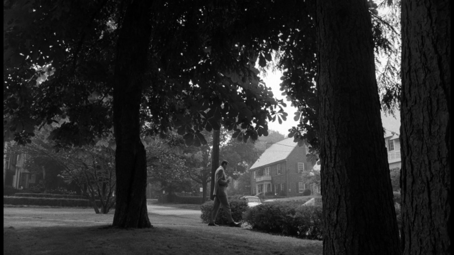 Mise en Scène in Films: Definition, Origins, Aspects – Elements of Cinema